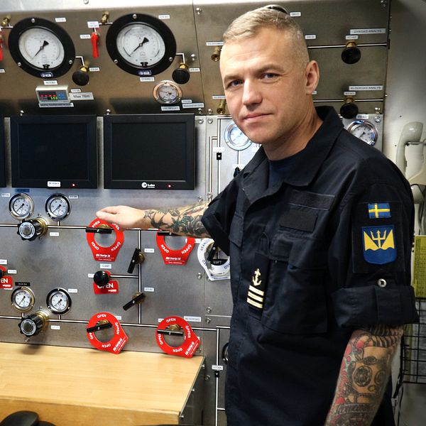 Så undviker du huggormar i villaträdgården | SVT Nyheter