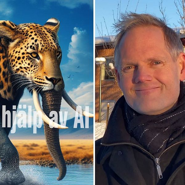 En ”leofant” blir resultatet av digital sammanslagning mellan Ånge och Sundsvalls kommun | SVT ...