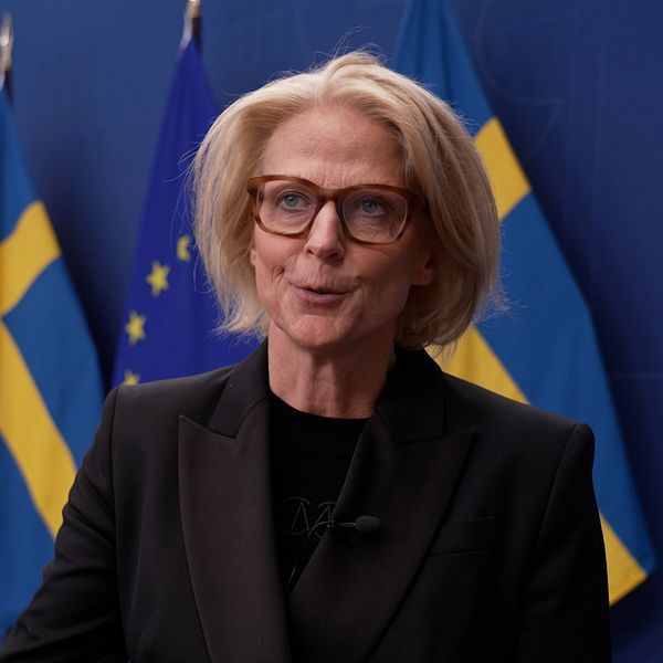 Svantesson om ekonomernas kritik: ”Vore tjänstefel av mig” – Senaste ...