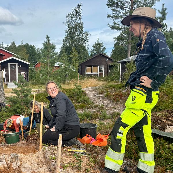 Här granskas Randys fynd av arkeologer i Bygdsiljum: ”Kan vara gammal ...