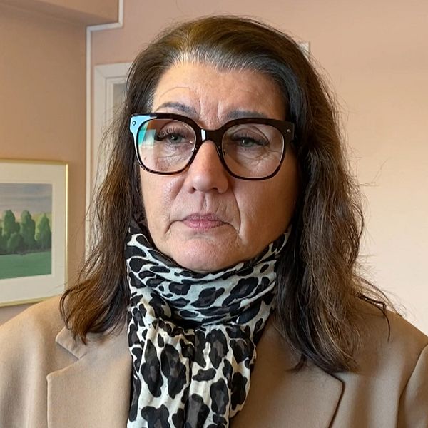 Sverigedemokraten Ewa Olsson Bergstedt i Skinnskatteberg avsatt | SVT Nyheter