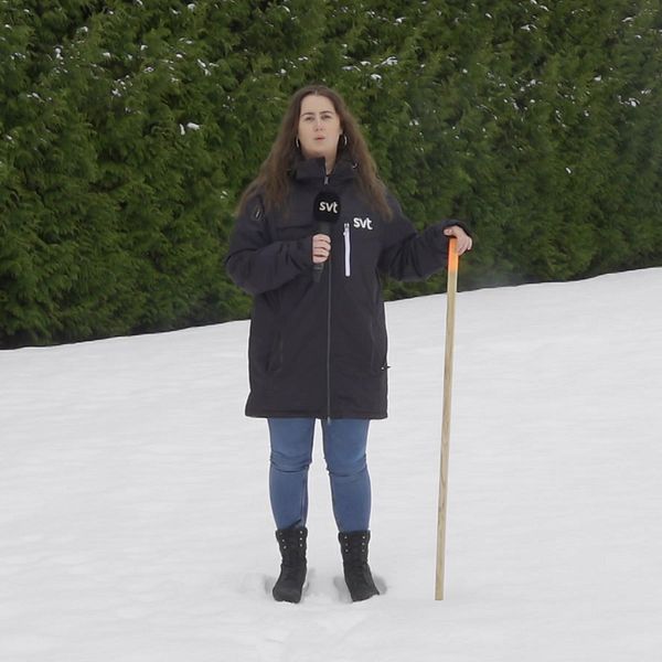 Vårdboendet Rosen i Nora får byggas | SVT Nyheter