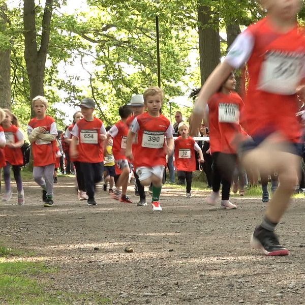 Nytt biljettsystem i Blekingetrafiken – lättare men dyrare | SVT Nyheter