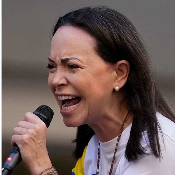 Nobels fredspris 2025 | SVT Nyheter