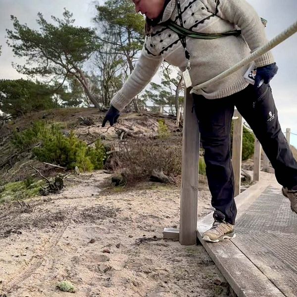 Nyheter från dagen: 27 november | SVT Nyheter