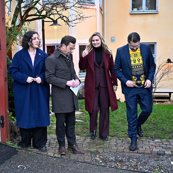 Jacob Wallenberg Jr invald i EQT:s styrelse – senast ut av G6 | SVT Nyheter