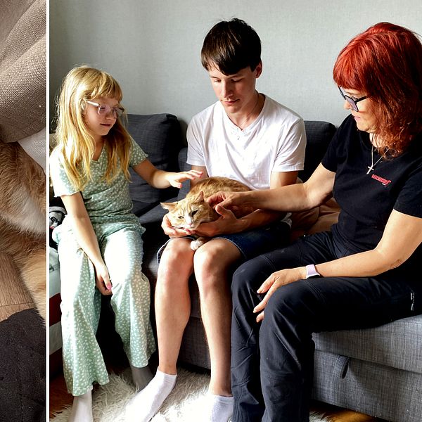 Hör P4-profilens panik – tekniskt haveri i direktsändning | SVT Nyheter