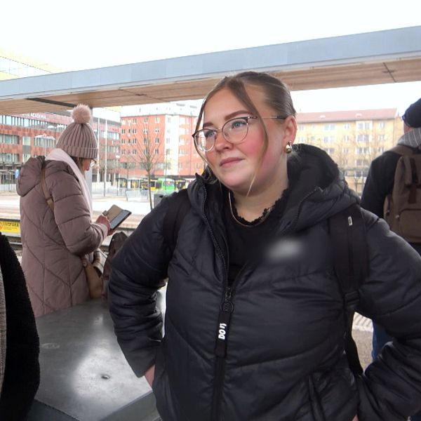 Häst misstänks ha dödats – skador på genitalier | SVT Nyheter