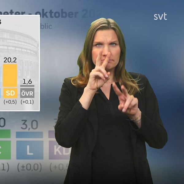 Här är ämnena i söndagens partiledardebatt | SVT Nyheter