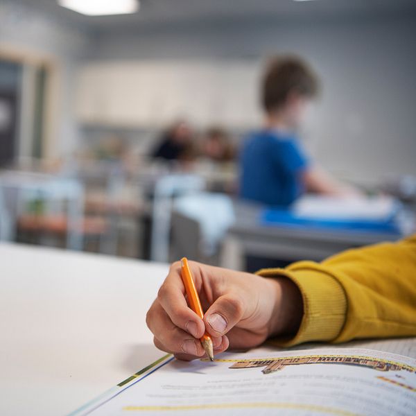 Skolverket | SVT Nyheter