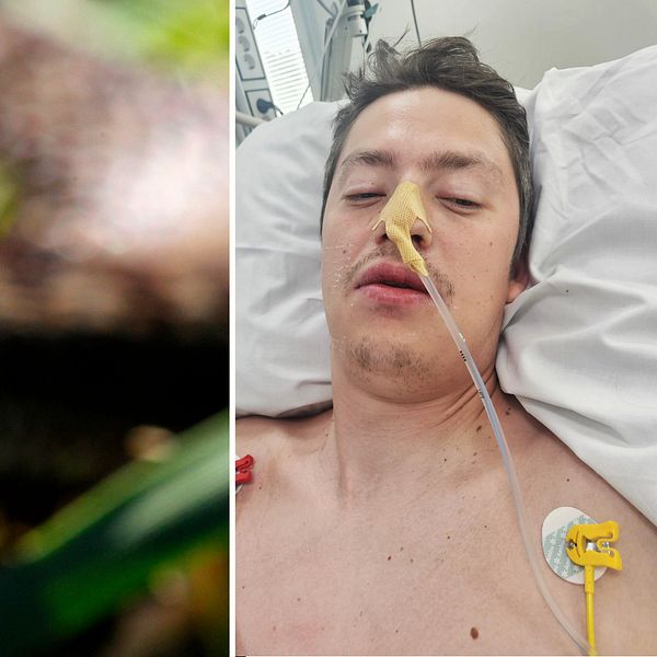 Jenny stals vid födseln: ”Känner mig som en pryl som någon beställt ...