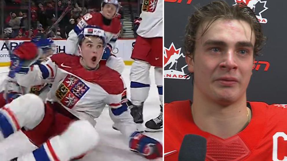 قانون پورنو mlp 34