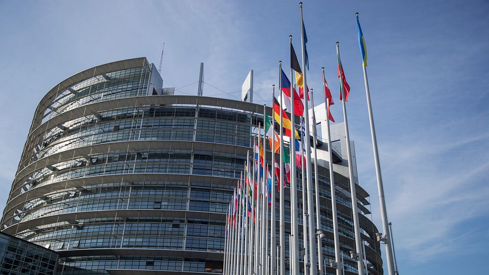 EU-parlamentet: Inför 16-årsgräns för sociala medier | SVT Nyheter