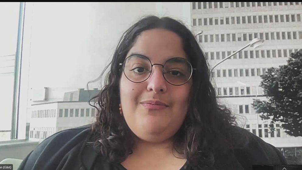 Prisade journalisten: ”Sverigebilden ljusnar i arabiska medier” | SVT ...