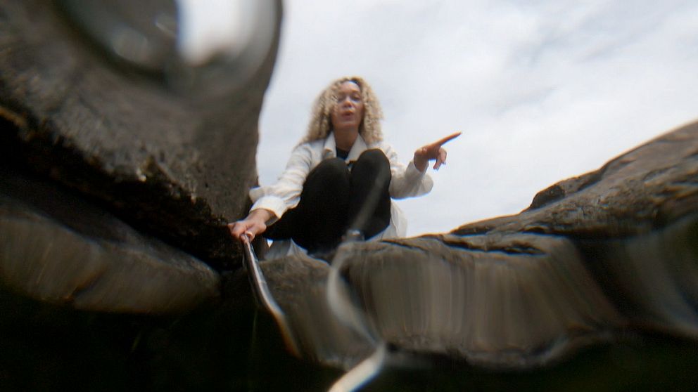 Ett besökarinlägg i ”Extremt högt vatten i Östersjön – snudd på rekord ...