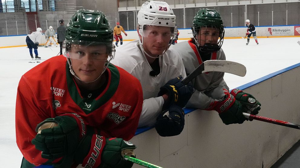 Ishockey: JVM-hjältens bror Otto Stenberg gjorde sitt första mål i NHL ...