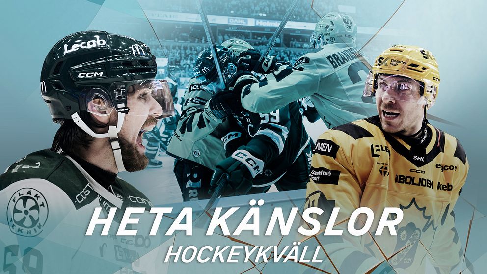 Ishockey: Senaste nytt: SHL | SVT Sport