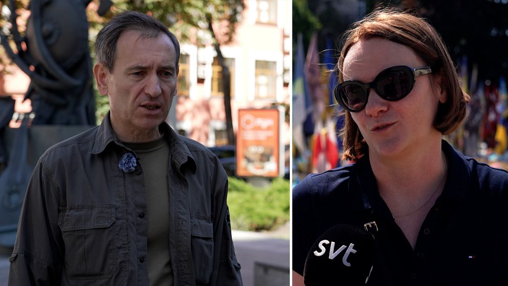 Zelenskyjs företrädare i parlamentet efter Alaskamötet: En bra signal ...