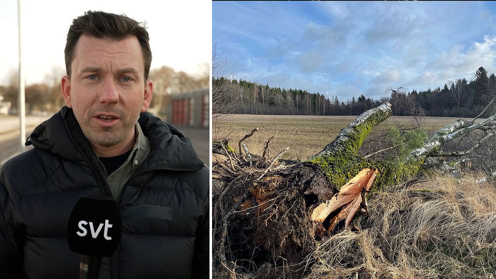 Följ det senaste kring stormen Otto | SVT Nyheter