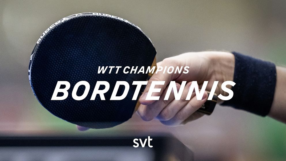 Bordtennis: Se WTT Champions här | SVT Sport