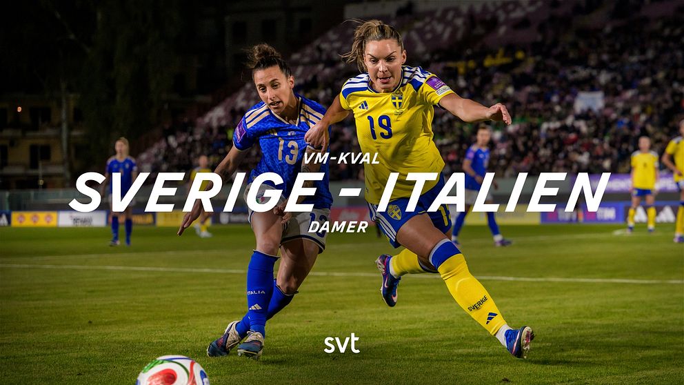 Fotboll: Ett besökarinlägg i ”Liverapportering: Damlandslaget i fotboll ...