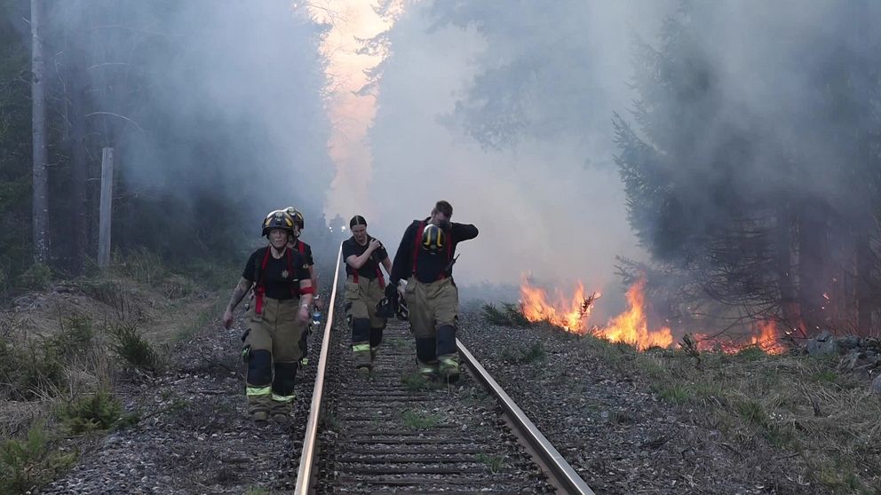 Skogsbrand rasar utanför Österbybruk – brandhärdar har vattenbombats ...