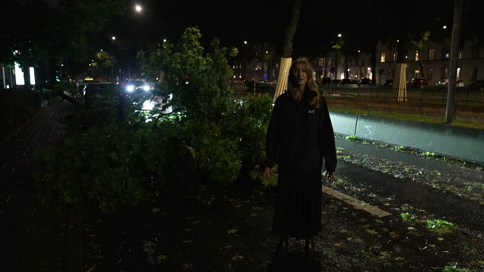 Nedfallna träd och plåttak som blåst bort – starka vindar i Stockholms ...