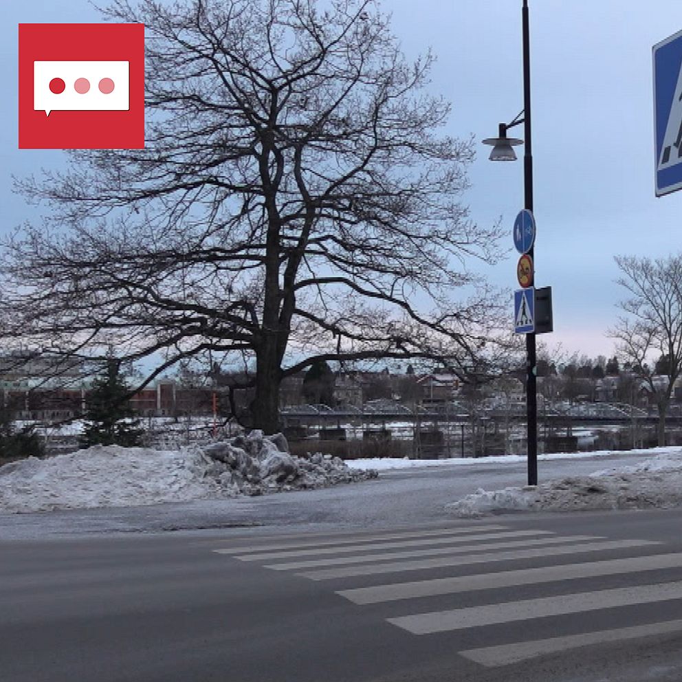 Nyheter från dagen: 5 december | SVT Nyheter