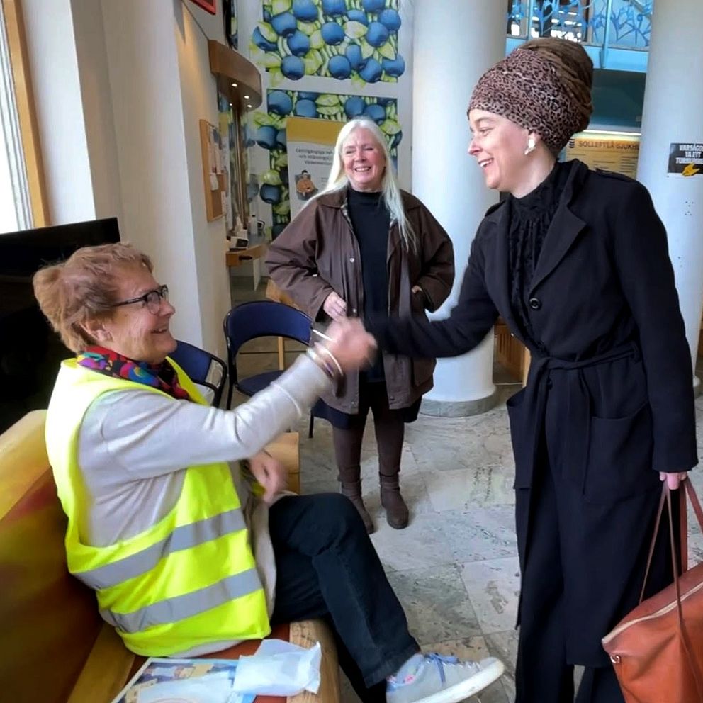 Amanda Lind (MP): ”Krävs tre akutsjukhus i länet” | SVT Nyheter