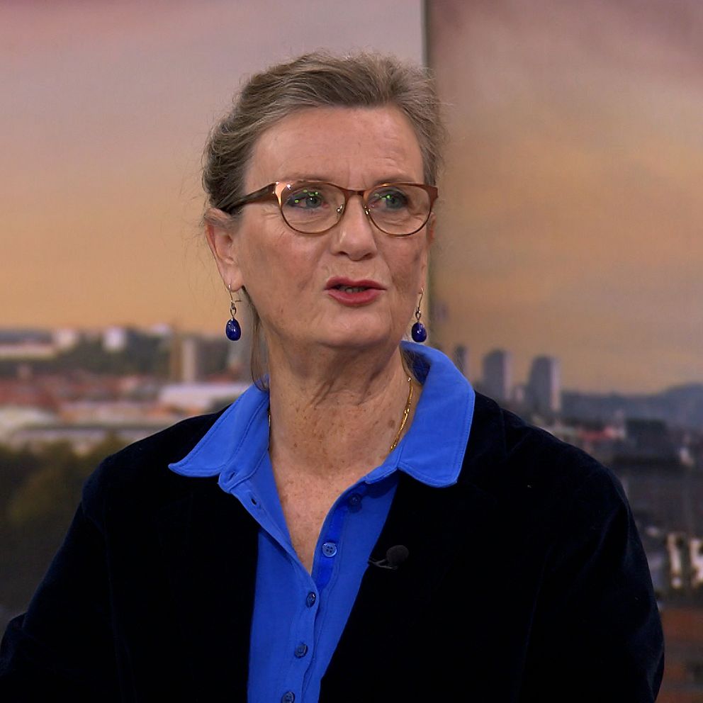 Katarina Engberg: Minskat militärt stöd leder till ”plan för ...