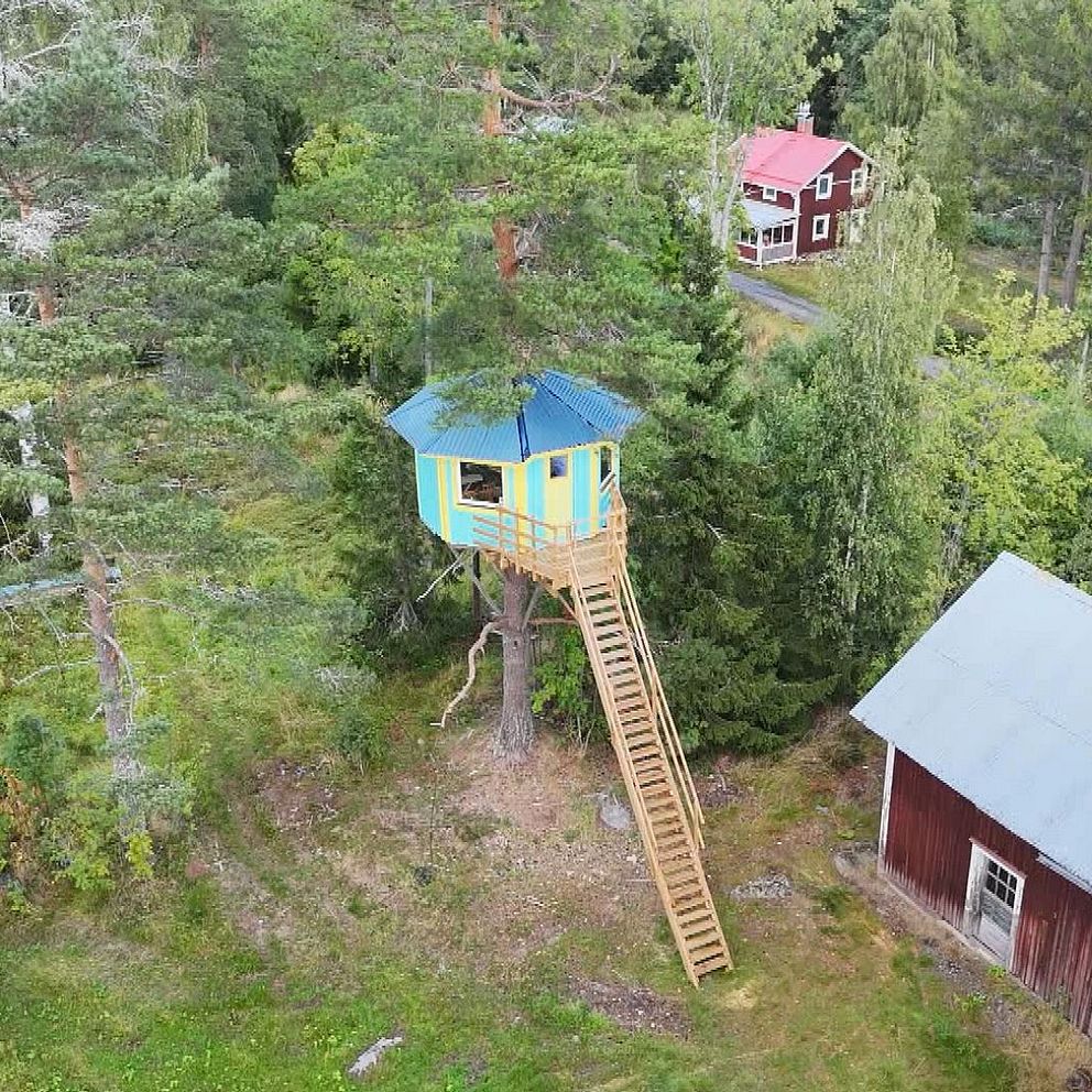 Håkan byggde en trädkoja i Örnsköldsvik – sex meter över marken | SVT ...