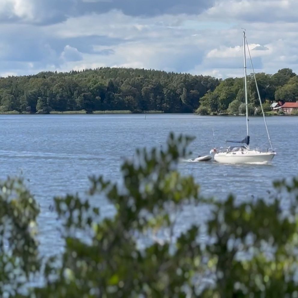 Så har blåsiga sommaren tvingat stockholmare att snåla med vatten | SVT ...