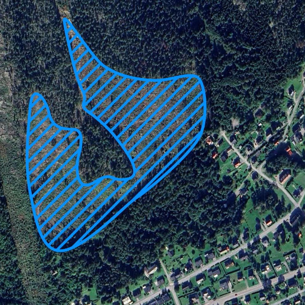 Larmet: Kalhyggen kan göra översvämningar värre | SVT Nyheter