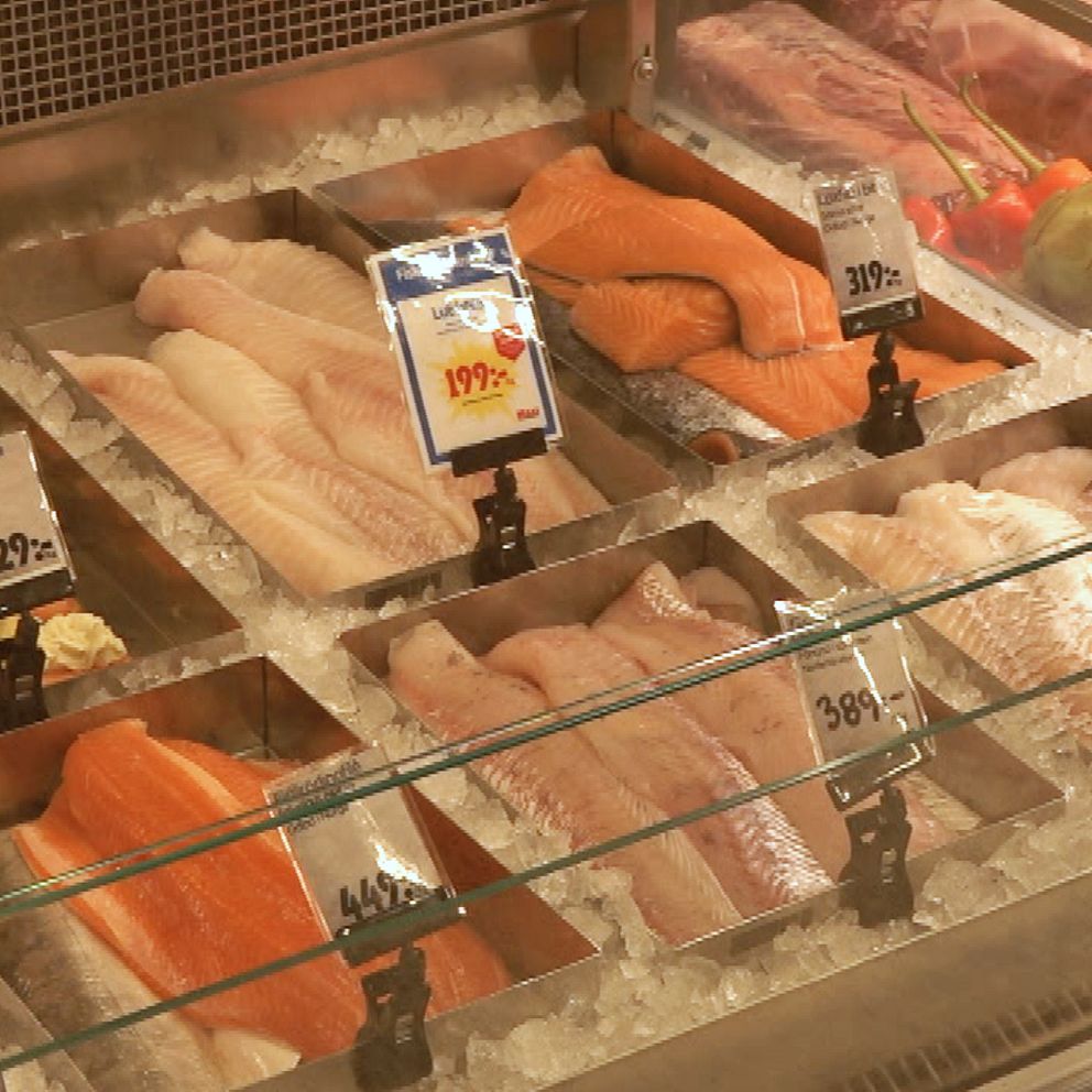 Fortsatt rött ljus för strömmingen i WWF:s fiskguide | SVT Nyheter