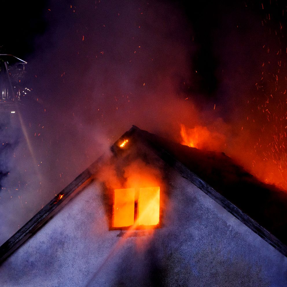 Nyheter från dagen: 21 augusti | SVT Nyheter