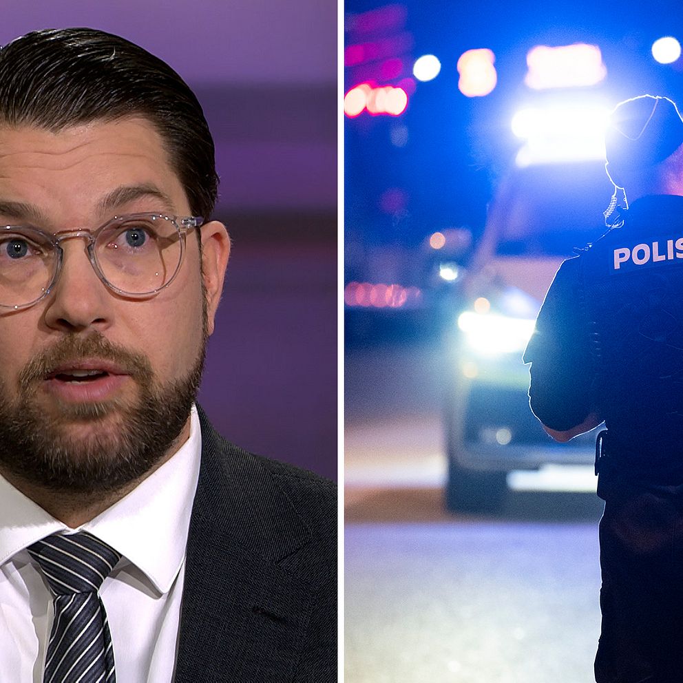 Åkesson: Ska kunna låsa in utan misstanke – på obestämd tid | SVT Nyheter