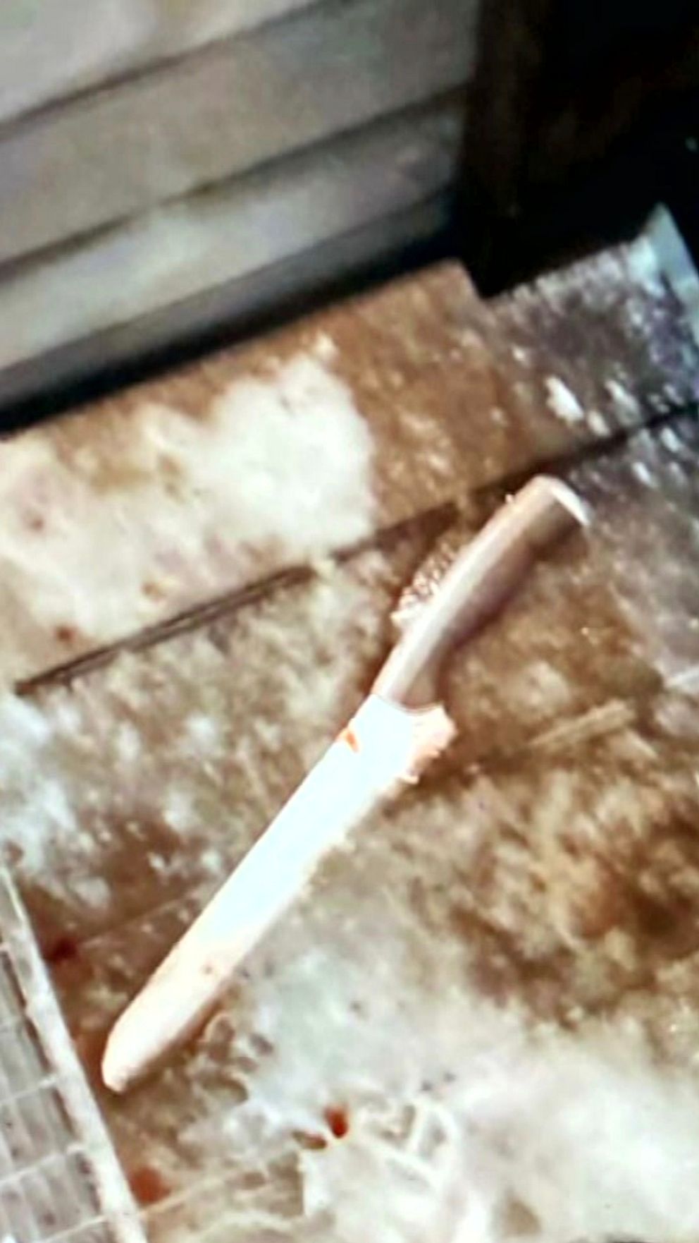 Nyheter från dagen: 29 april | SVT Nyheter