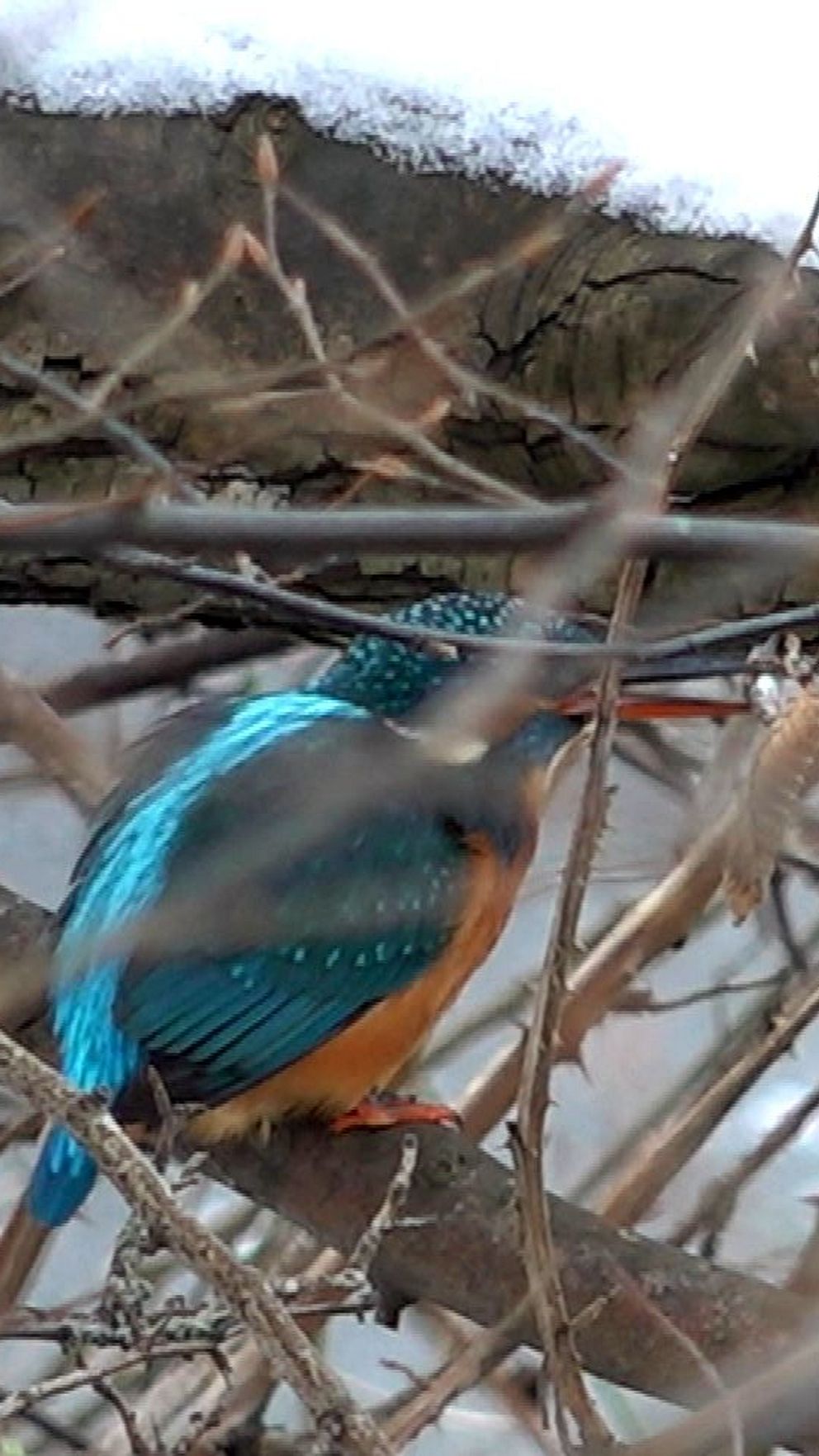 Nyheter från dagen: 14 januari | SVT Nyheter