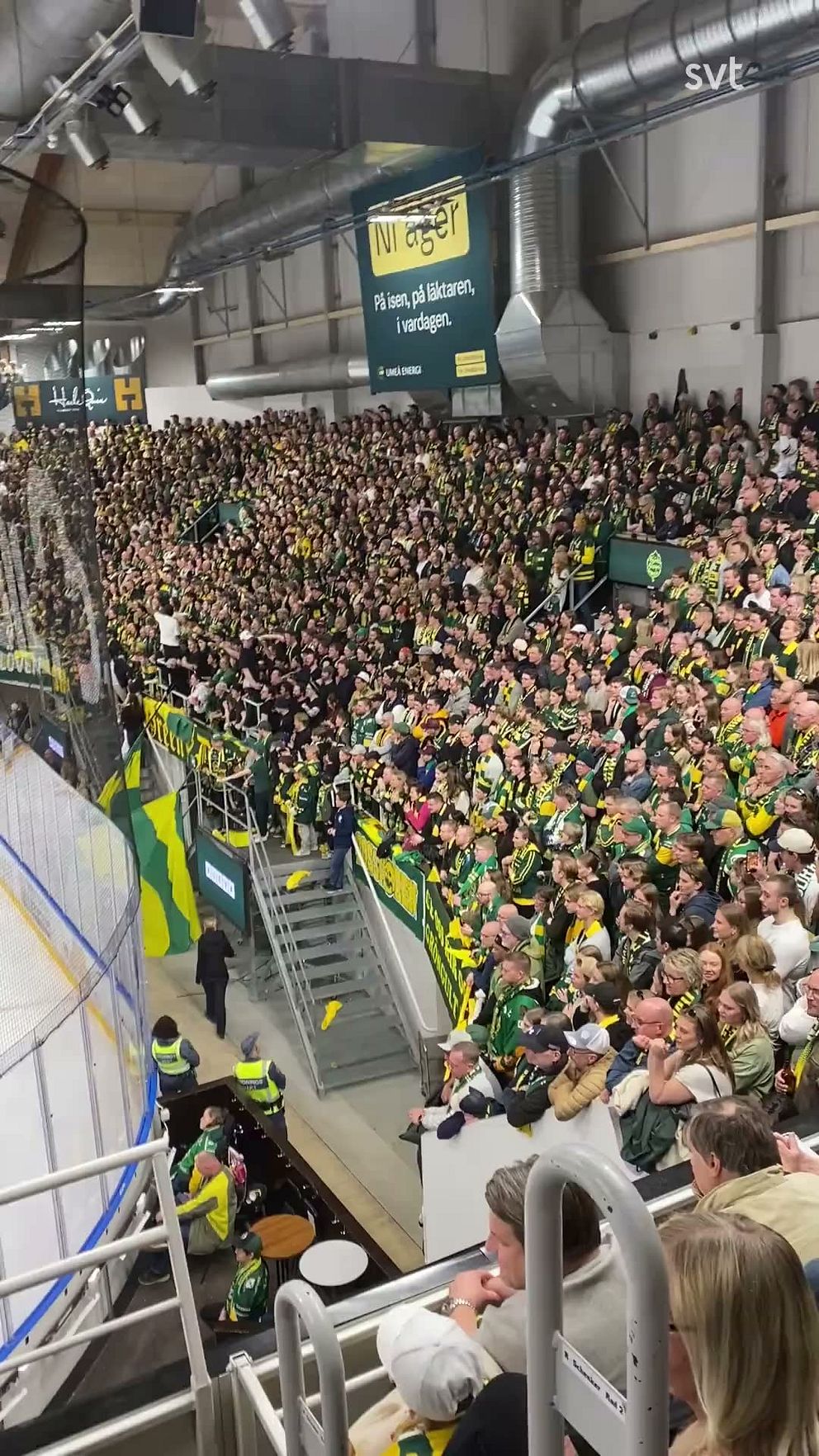 SM-guld till Skellefteå AIK – följ publikfesten | SVT Nyheter