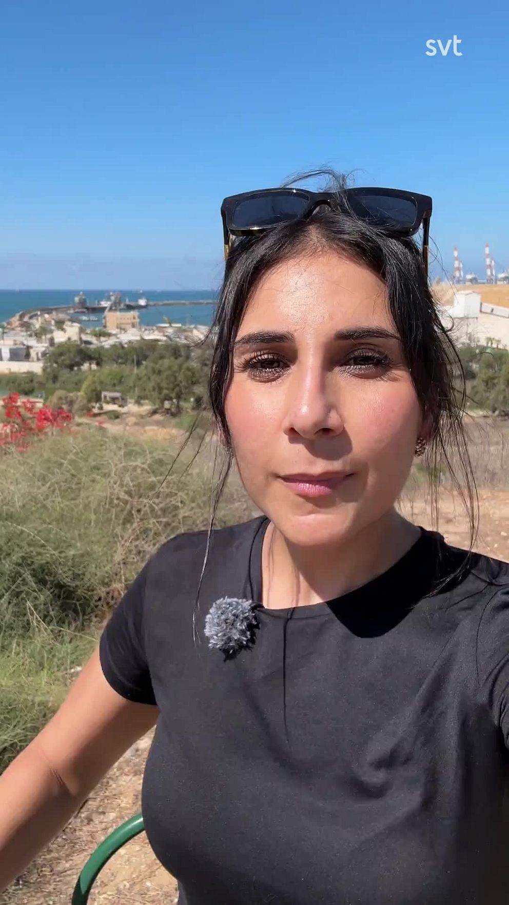 Ny studie visar: Fler än 80 000 dödsoffer i Gaza – Senaste nytt om ...