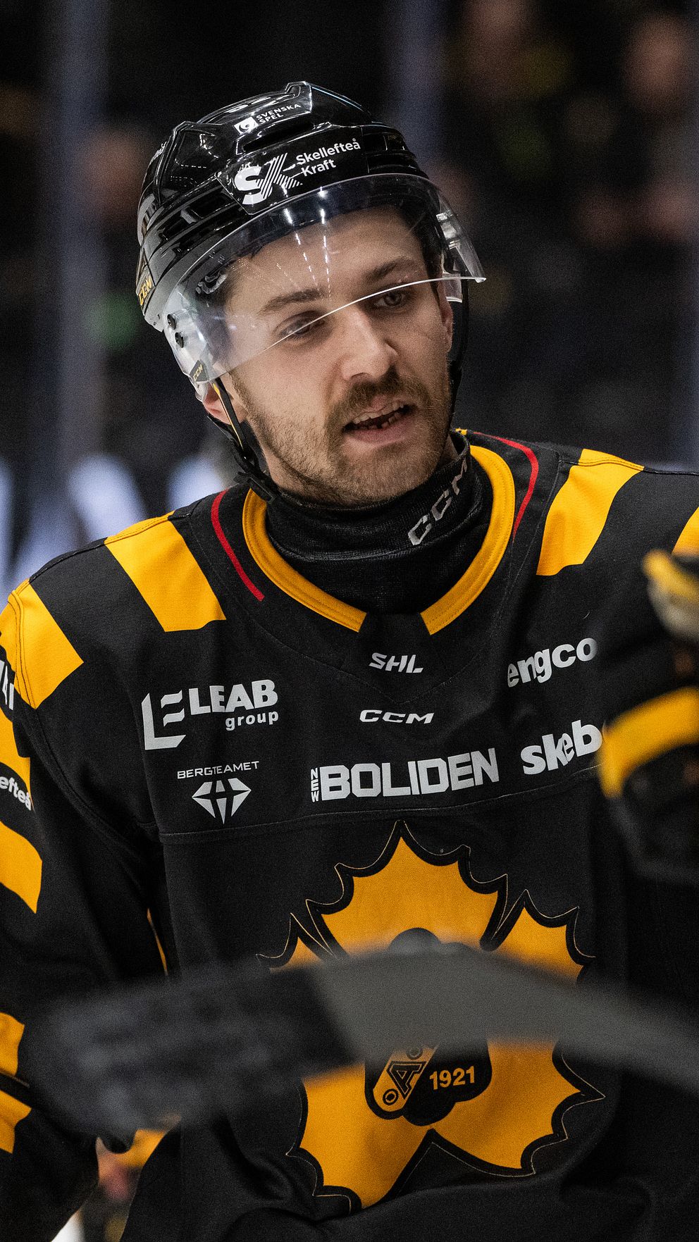 Ishockey: Senaste nytt: SHL 2024/2025 | SVT Sport