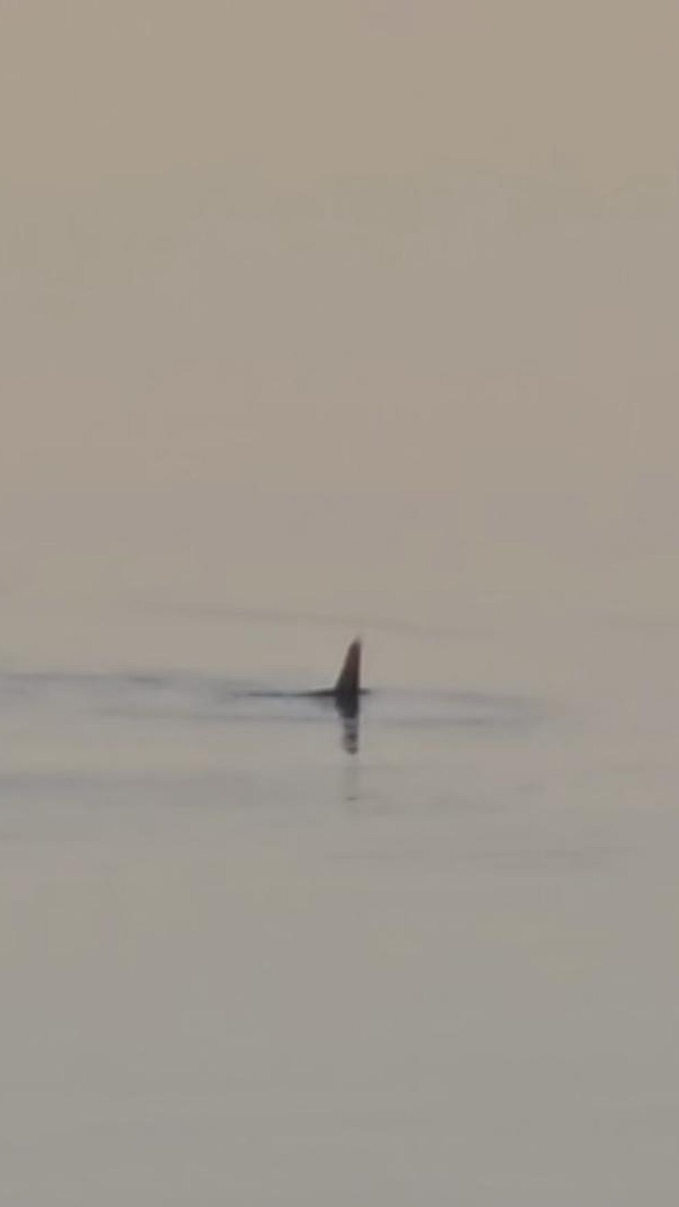 Roy Dahl, 67, hittade antika bronsmynt som tioåring – nu kommer ...