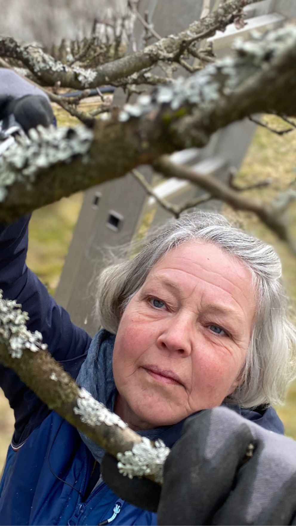 Södertälje | SVT Nyheter