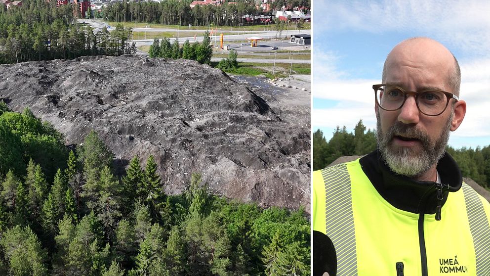 Man sydde ihop bitskada på sin hund i Västerbotten – döms för ...