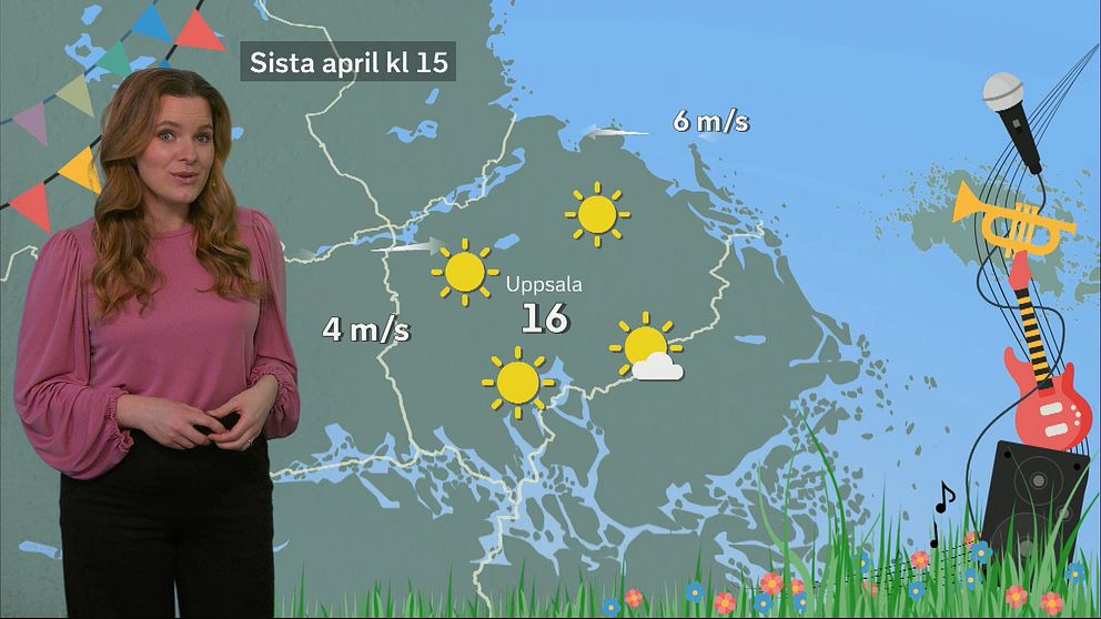Här är trädet som kan ersätta bomull | SVT Nyheter