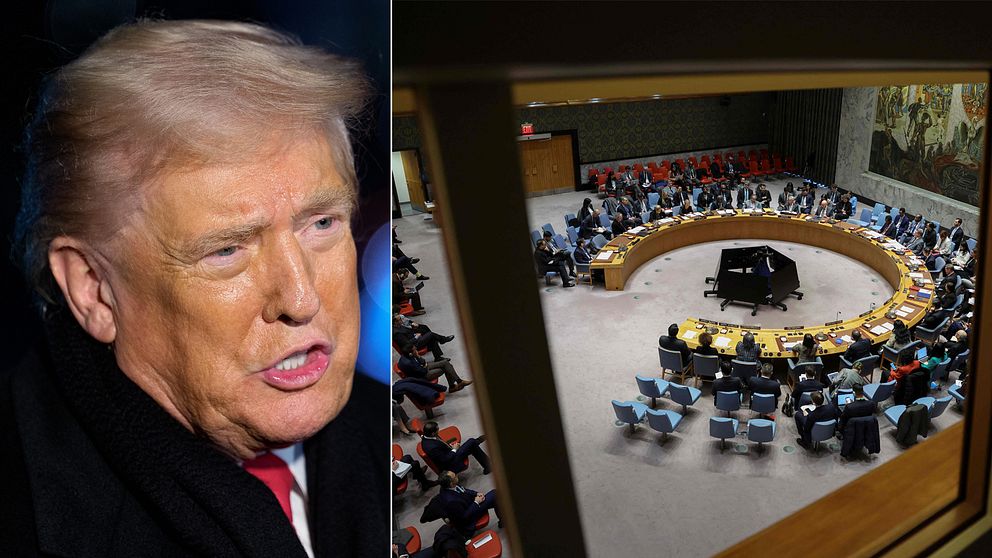 Donald Trump | SVT Nyheter