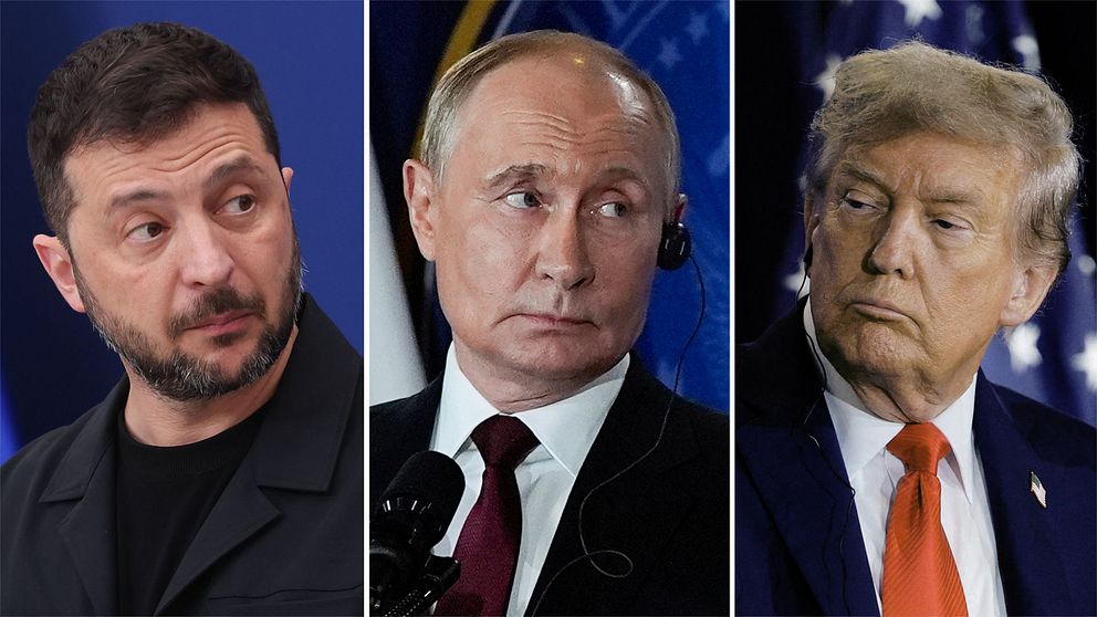 Utrikespolitik | SVT Nyheter