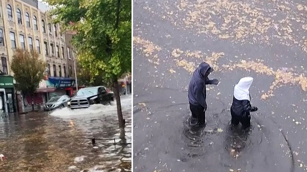 New York City | SVT Nyheter