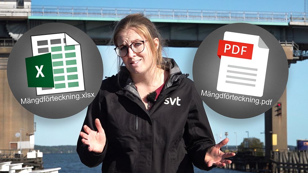 Klart: Dalbobron i Vänersborg ersätts av färja | SVT Nyheter