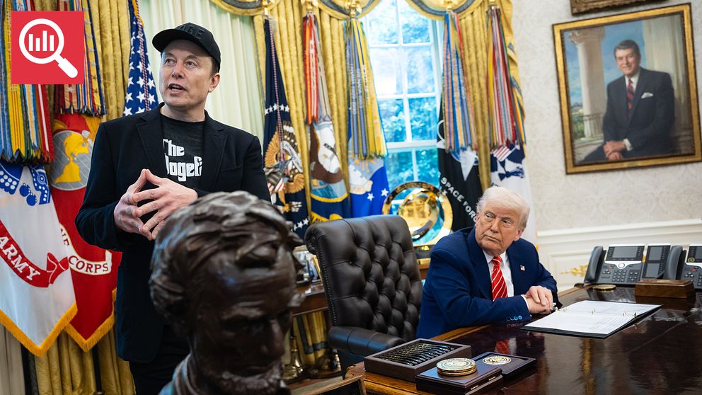 Trump: Elon Musk har tappat förståndet | SVT Nyheter